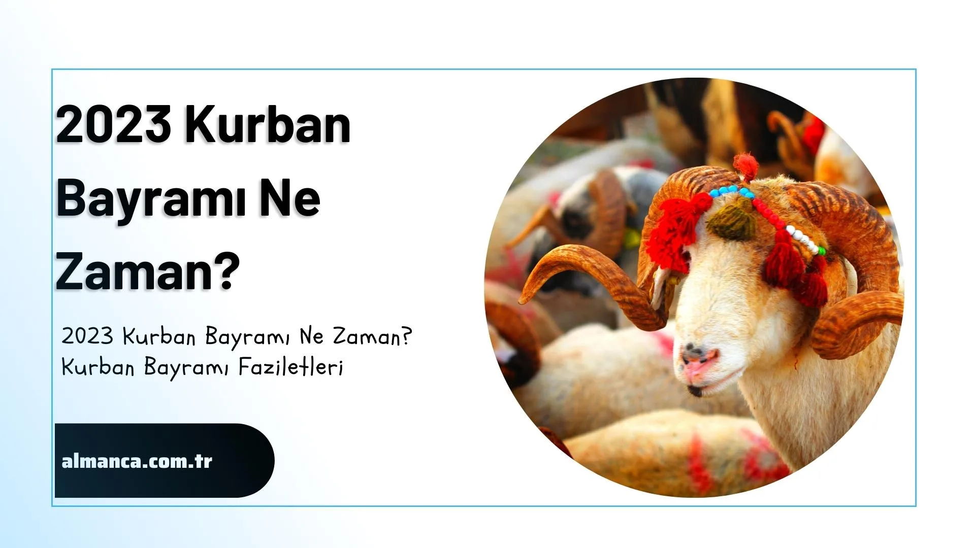 2023 Kurban Bayram Ne Zaman Kurban Bayram Faziletleri 2023 Kurban Bayram Ne Zaman Kurban Bayram Faziletleri