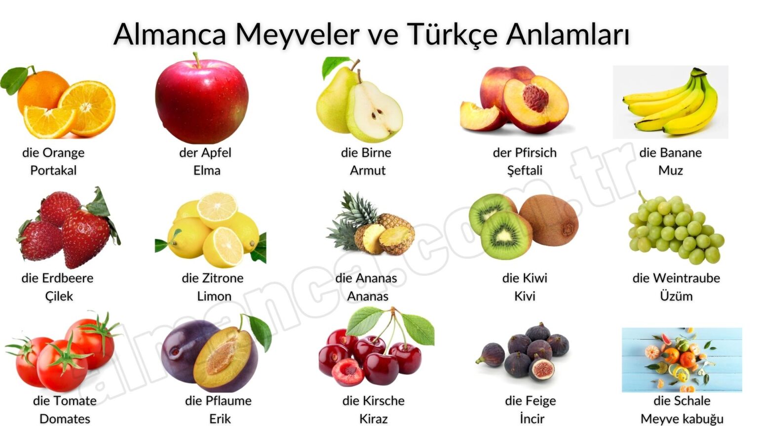 Almanca Meyveler - Almanca.com.tr